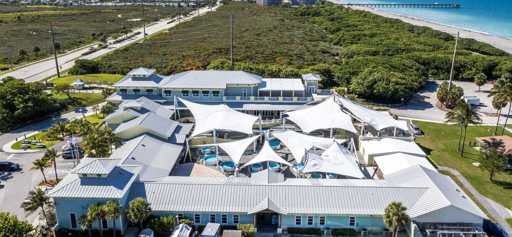Loggerhead MarineLife Center Expansion - PBK