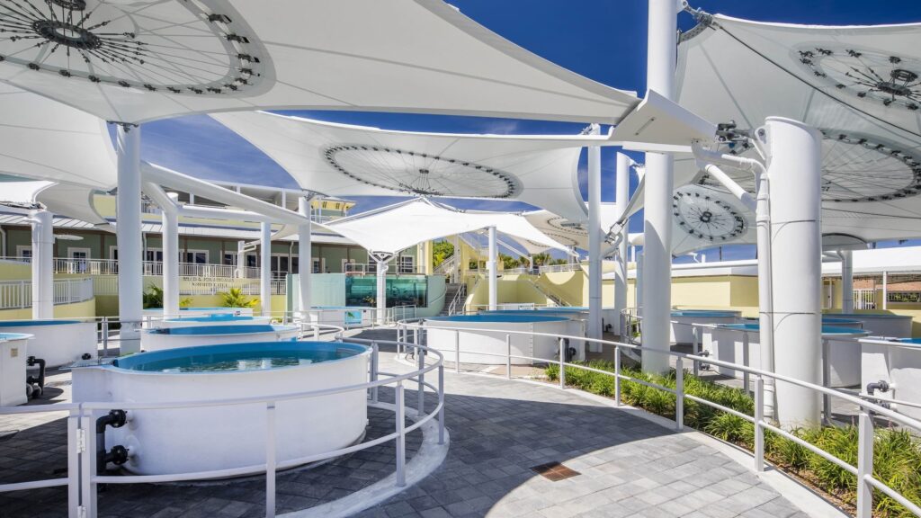 Loggerhead MarineLife Center Expansion - PBK Architects