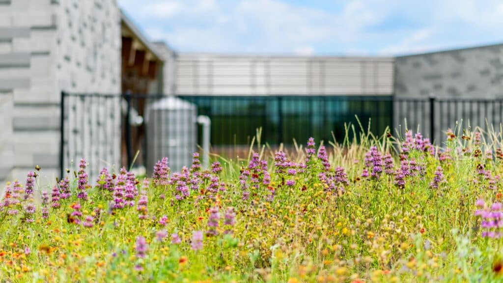 Jefferson Early Learning Center - PBK